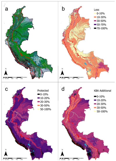 Conserving Ecosystem Diversity in the Tropical Andes