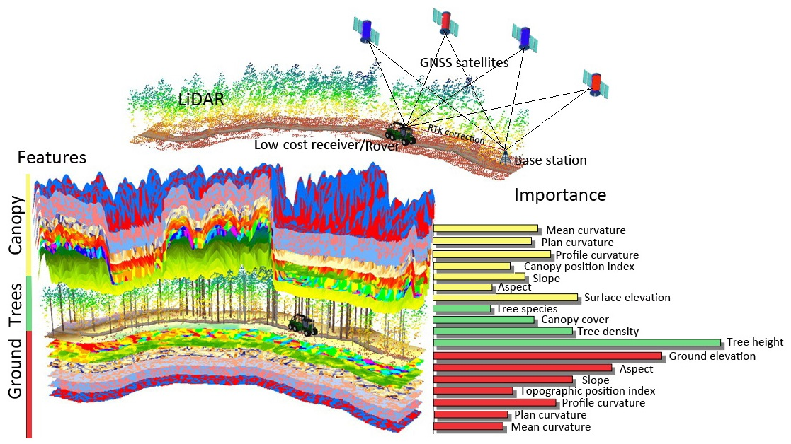 Remote Sensing | Free Full-Text | Evaluation of Forest Features ...