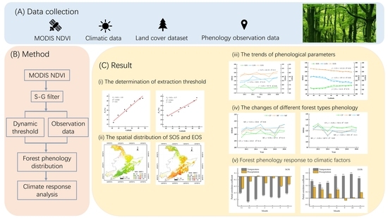 Remote Sensing | Free Full-Text | Spatiotemporal Variations of Forest ...