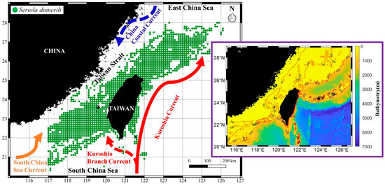 Variability in the Spatiotemporal Distribution Patterns of Greater ...