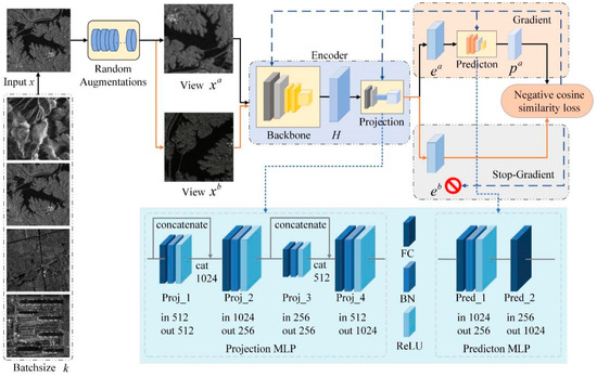 A Lightweight Self-Supervised Representation Learning Algorithm for Scene Classification in ...