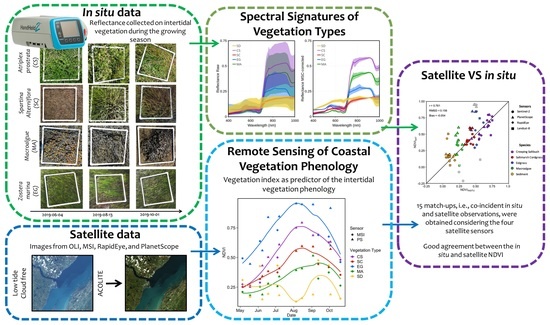 Remote Sensing | Free Full-Text | Remote Sensing of Coastal Vegetation ...