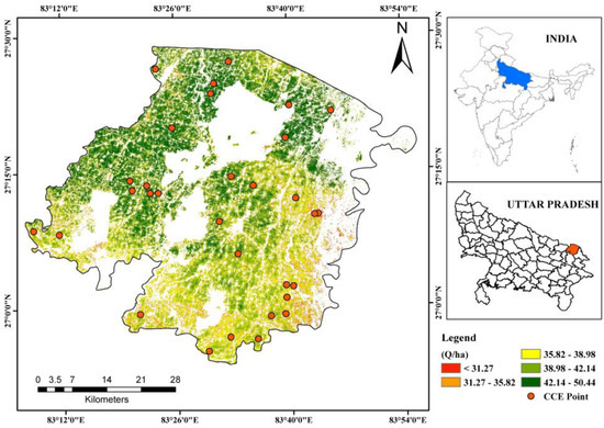 Assessing the Yield of Wheat Using Satellite Remote Sensing-Based Machine Learning Algorithms ...
