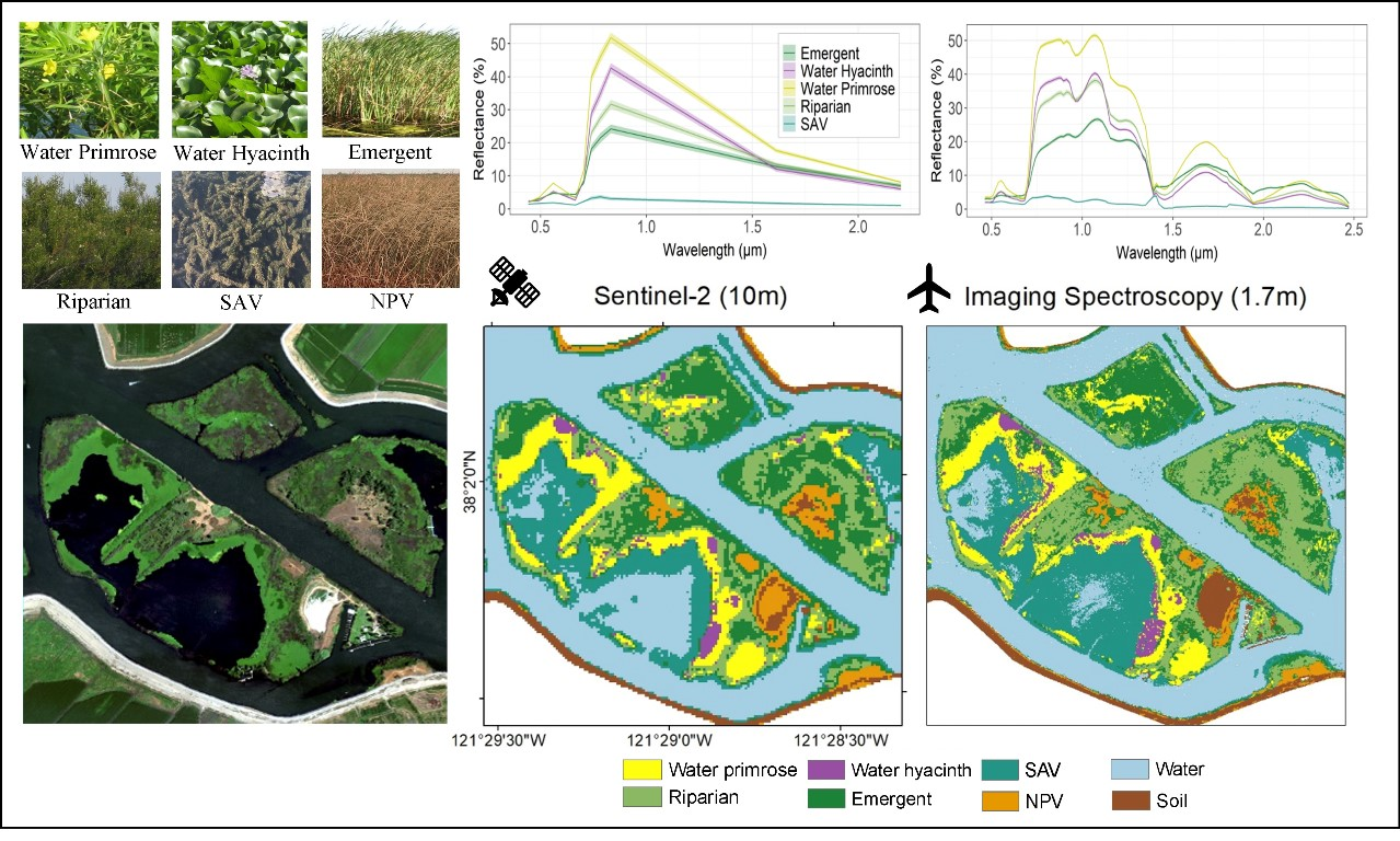 Remote Sensing | Free Full-Text | Genus-Level Mapping of Invasive Floating Aquatic Vegetation ...