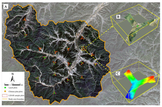 An Advanced Framework for Multi-Scale Forest Structural Parameter ...