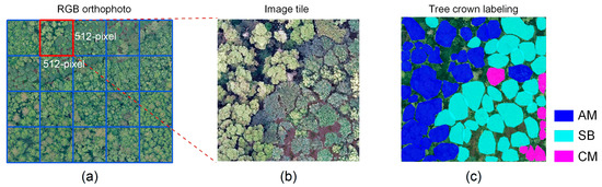 ACE R-CNN: An Attention Complementary and Edge Detection-Based Instance Segmentation Algorithm ...
