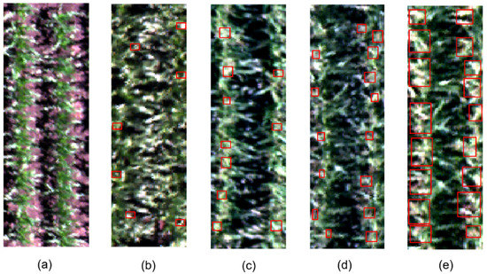 Estimation of Maize Yield and Flowering Time Using Multi-Temporal UAV-Based Hyperspectral Data
