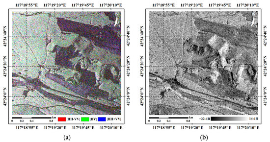 Forest Height Estimation Approach Combining P-Band and X-Band ...