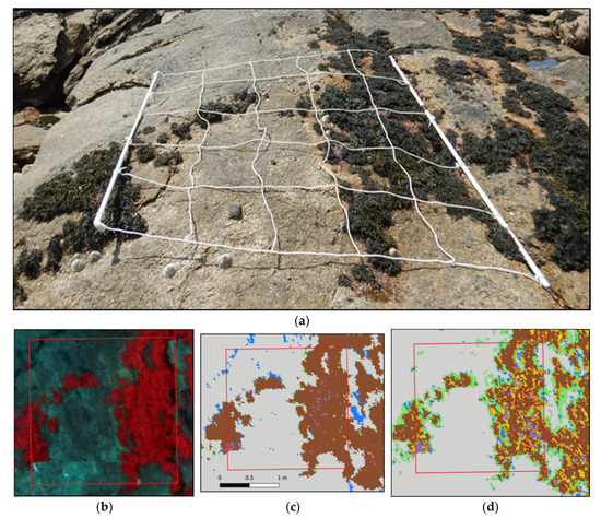 Remote Sensing | Special Issue : Remote Sensing for Coastal and Aquatic ...