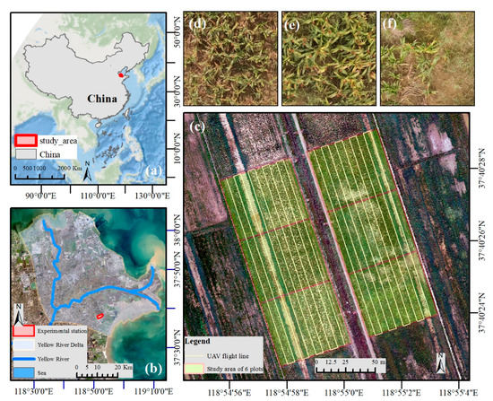 Remote Sensing Free Full Text Comparison Of Deep Learning Methods For Detecting And Counting