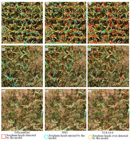 Comparison of Deep Learning Methods for Detecting and Counting Sorghum Heads in UAV Imagery