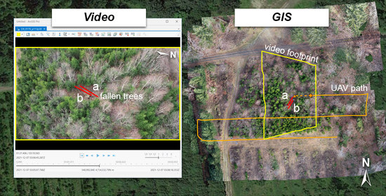 Remote Sensing | Free Full-Text | UAV Video-Based Approach to Identify ...