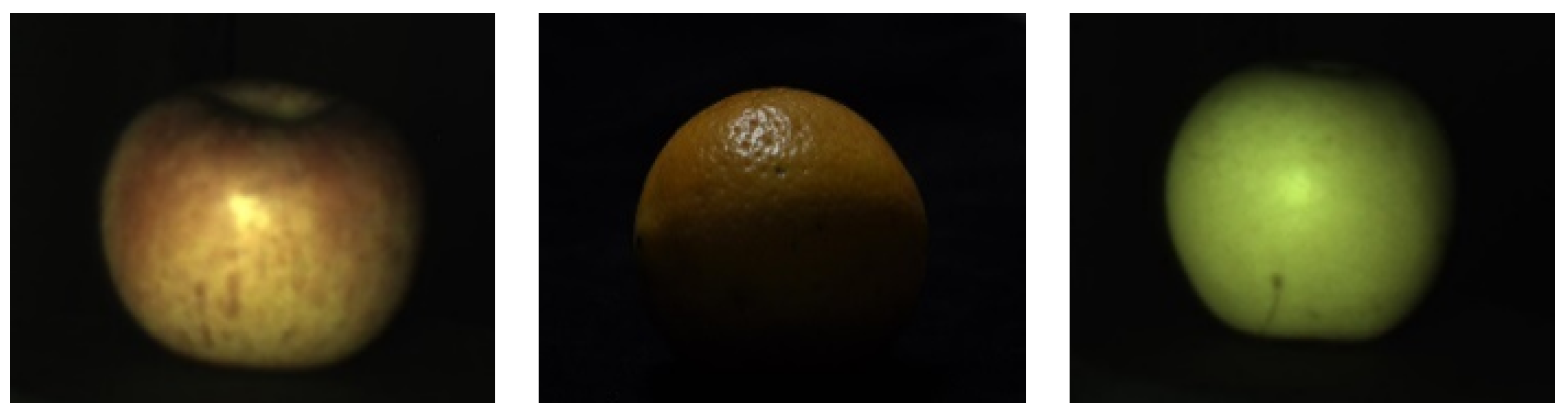 A Specular Highlight Removal Algorithm for Quality Inspection of Fresh ...