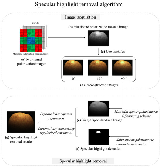 A Specular Highlight Removal Algorithm for Quality Inspection of Fresh ...