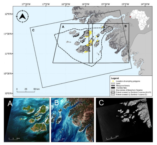 Remote Sensing | Free Full-Text | Combining Multispectral and Radar Imagery with Machine ...