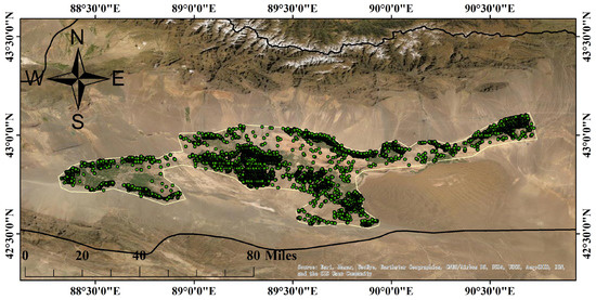 Automatic Mapping of Karez in Turpan Basin Based on Google Earth Images ...