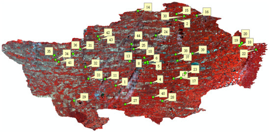 Remote Sensing | Free Full-Text | Multi-Scale LBP Texture Feature Learning Network for Remote ...