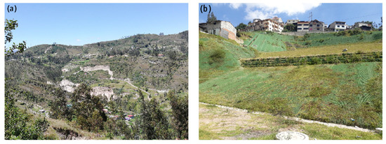 Remote Sensing | Free Full-Text | Landslide Susceptibility Mapping of ...