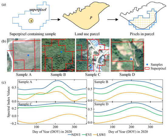 Remote Sensing Free Full Text Mapping Paddy Rice In Complex