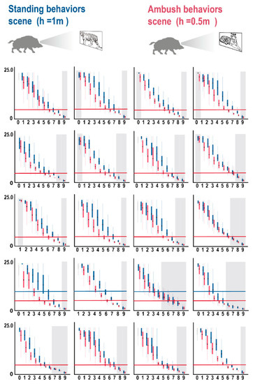 LiDAR Reveals the Process of Vision-Mediated Predator–Prey Relationships