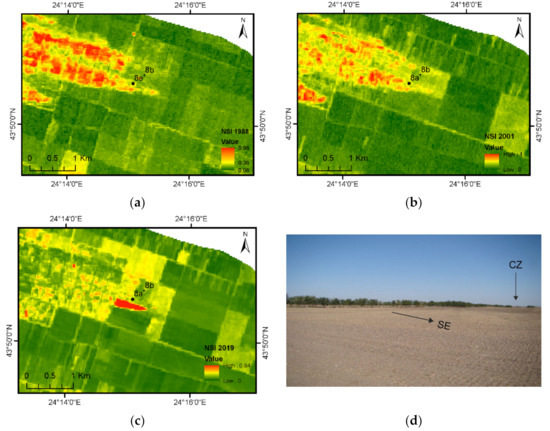 Normalized Sand Index for Identification of Bare Sand Areas in ...