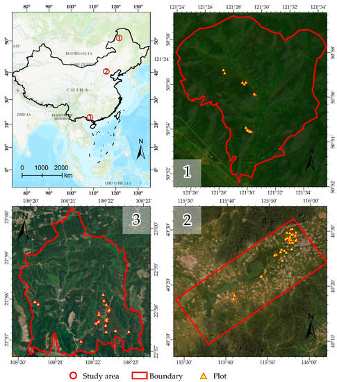 Remote Sensing | Free Full-Text | Tree Species Classification of Backpack Laser Scanning Data ...
