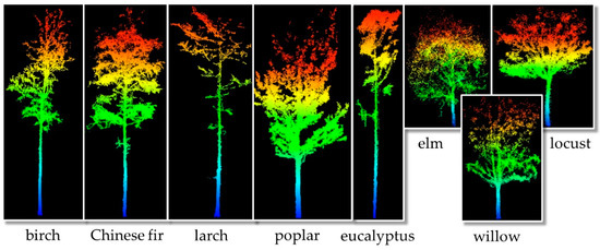 Tree Species Classification of Backpack Laser Scanning Data Using the PointNet++ Point Cloud ...