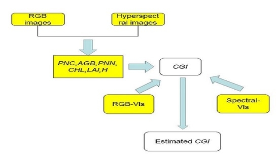 Remote Sensing | Free Full-Text | Comparison of UAV RGB Imagery and ...