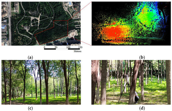 Remote Sensing Free Full Text A Deep Learning Based Method For