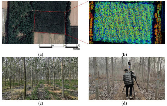 A Deep Learning-Based Method for Extracting Standing Wood Feature ...