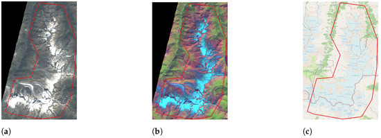Machine Learning Approaches to Automatically Detect Glacier Snow Lines ...