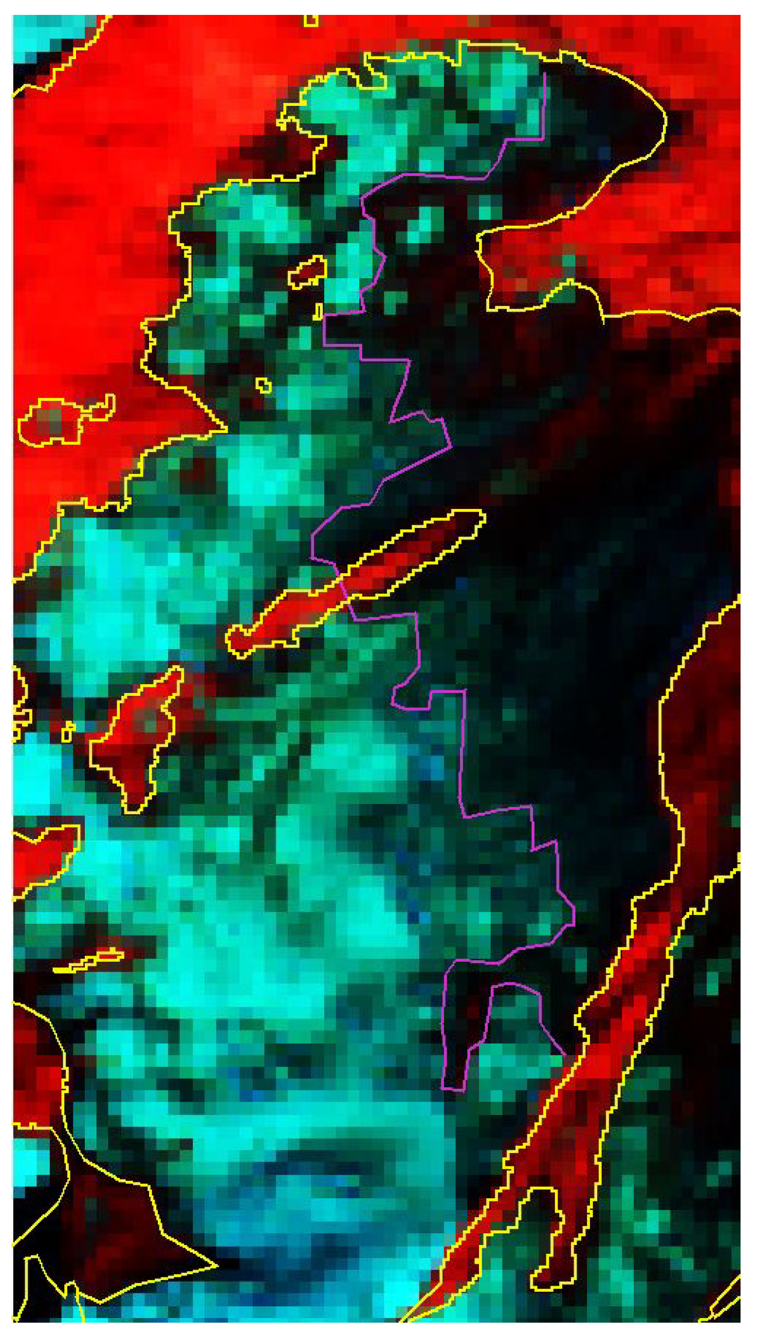 Machine Learning Approaches to Automatically Detect Glacier Snow Lines ...