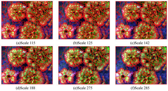 Remote Sensing Free Full Text Urban Tree Classification Based On Object Oriented Approach