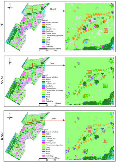 Remote Sensing Free Full Text Urban Tree Classification Based On Object Oriented Approach