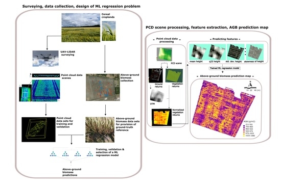 Remote Sensing | Free Full-Text | Above-Ground Biomass Prediction for ...