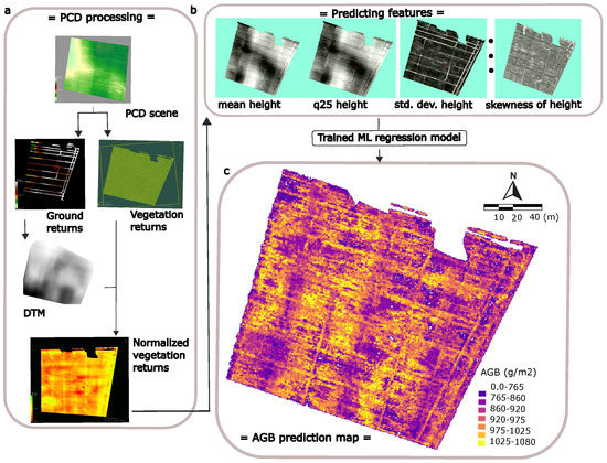 Above-Ground Biomass Prediction for Croplands at a Sub-Meter Resolution Using UAV–LiDAR and ...