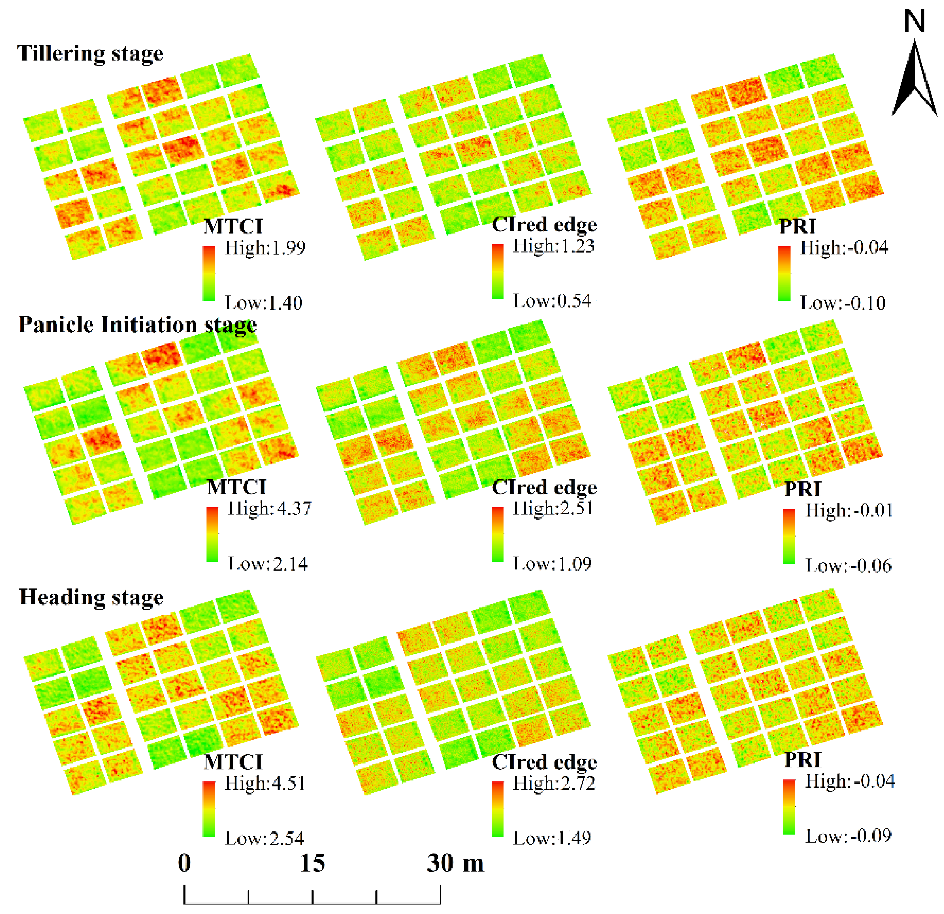 Remote Sensing | Free Full-Text | Remote Sensing Monitoring of Rice ...