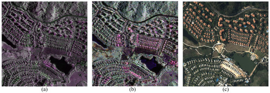 Multi-Band and Polarization SAR Images Colorization Fusion
