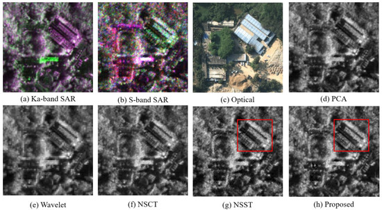 Multi-Band and Polarization SAR Images Colorization Fusion