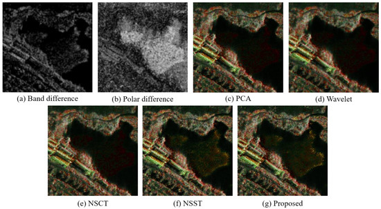 Multi-Band and Polarization SAR Images Colorization Fusion