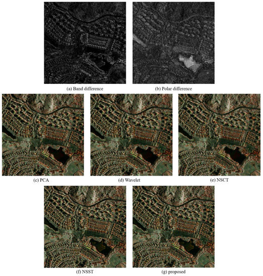 Multi-Band and Polarization SAR Images Colorization Fusion
