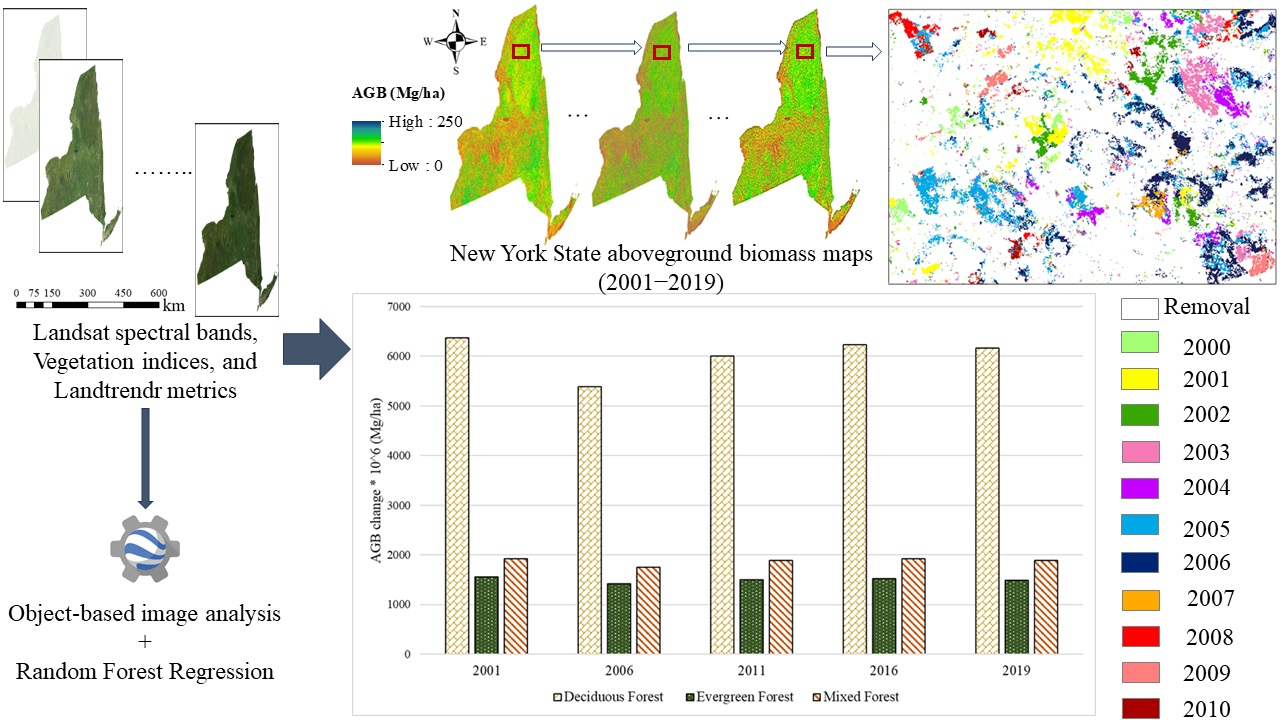 Remote Sensing | Free Full-Text | Mapping Two Decades of New York State ...