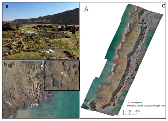 Using UAV and Structure-From-Motion Photogrammetry for the Detection of ...
