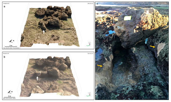 Using UAV and Structure-From-Motion Photogrammetry for the Detection of ...