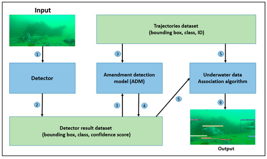 A Robust Underwater Multiclass Fish-School Tracking Algorithm