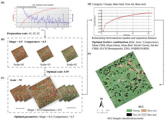 Remote Sensing | Free Full-Text | Is an Unmanned Aerial Vehicle (UAV) Suitable for Extracting ...