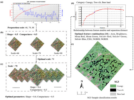 Remote Sensing | Free Full-Text | Is an Unmanned Aerial Vehicle (UAV) Suitable for Extracting ...