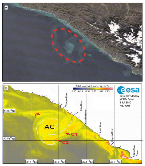 Mesoscale Eddies in the Black Sea and Their Impact on River Plumes ...