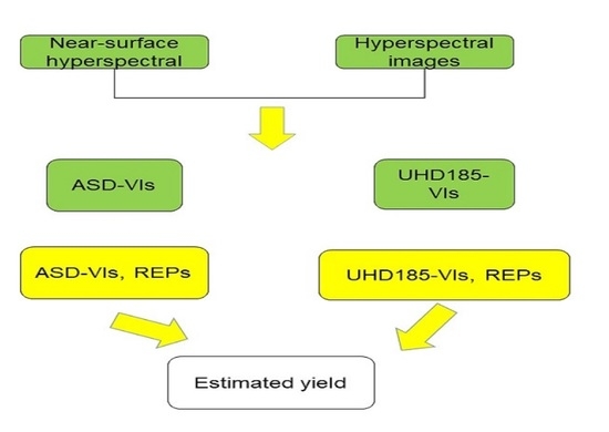 Remote Sensing Free Full Text Comparison Of Winter Wheat Yield Estimation Based On Near