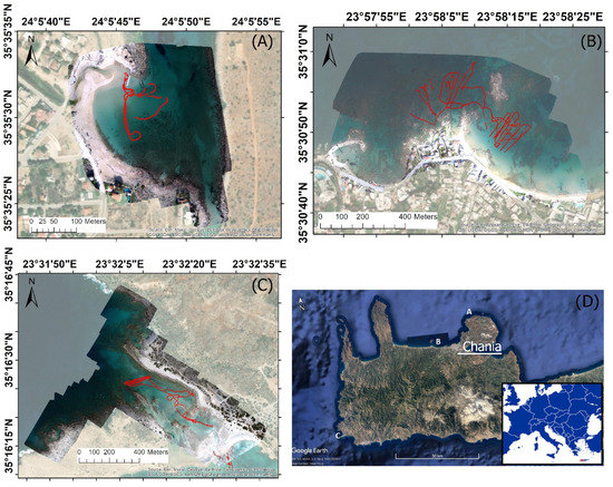 Remote Sensing | Free Full-Text | Integration of Photogrammetric and Spectral Techniques for ...